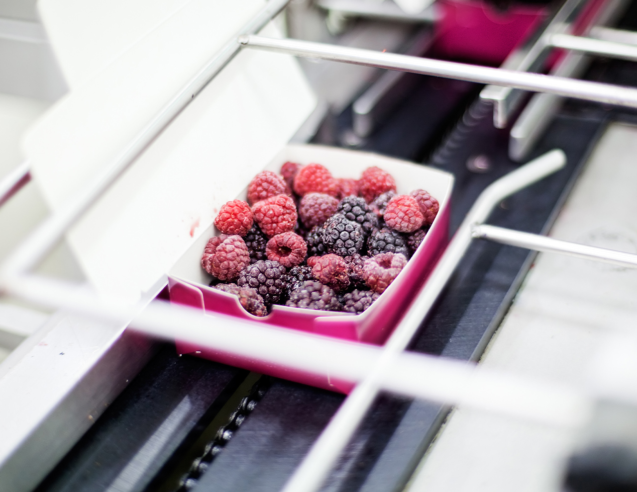 Køling og frysning | Fødevarer | 100 års erfaring